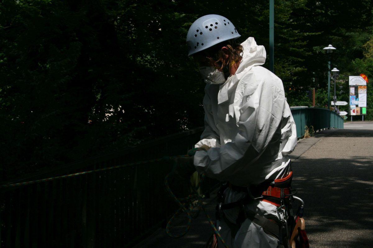 Der Eichenprozessionsspinner - Gefährdung & ... - Baumvertrauen